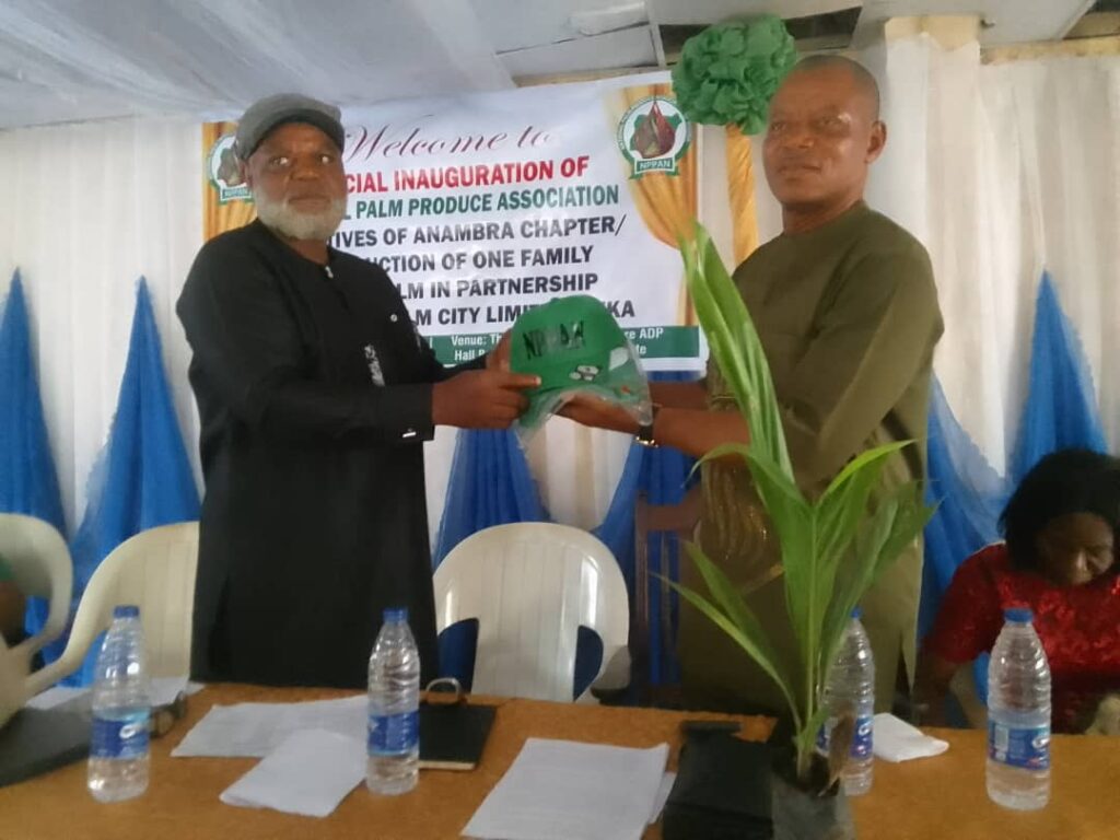 Palm Partnership Targets Expanded Oil-Palm Production in Anambra ...